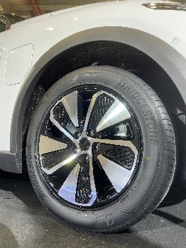 日本普利司通攜手鴻華先進建立搶攻電動車胎市場 Model C指定電動車用胎 導入ENLITEN®革命技術